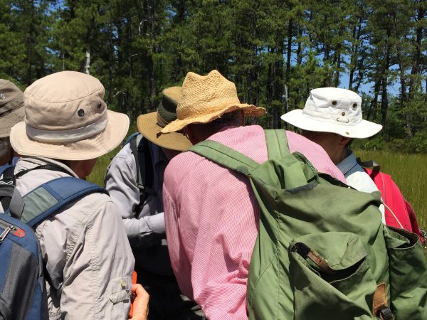 Philadelphia Botanical Club – Dedicated to increasing knowledge and ...