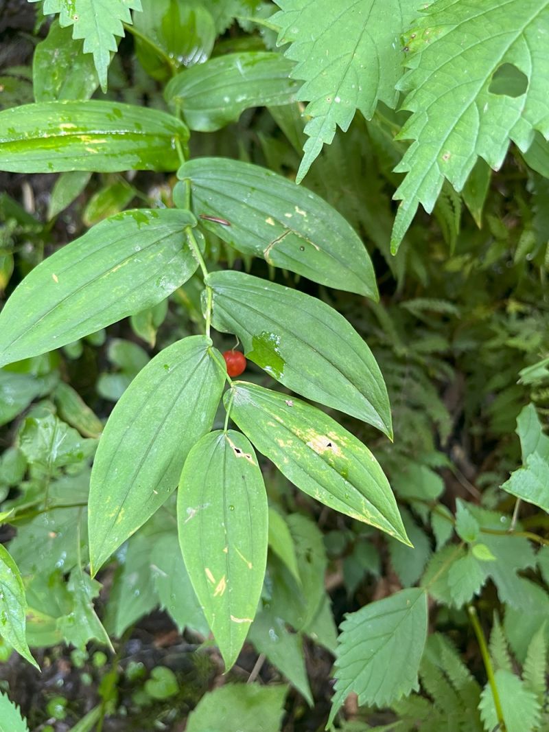 Philadelphia Botanical Club – Dedicated to increasing knowledge and ...